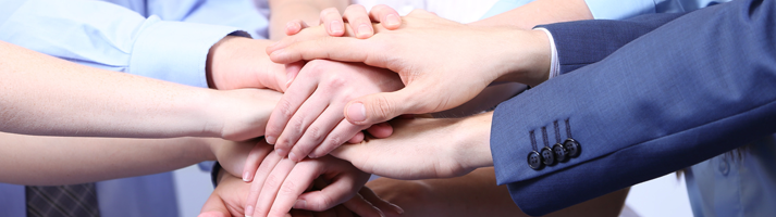 Trabajo social como profesión